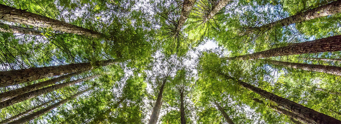 Lantra Scotland | Lantra - Scotland