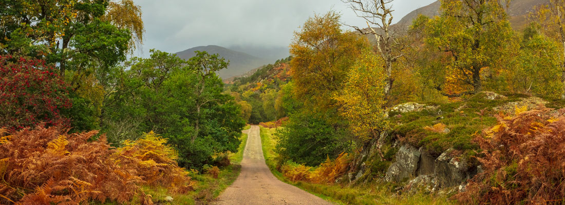Lantra Scotland | Lantra - Scotland