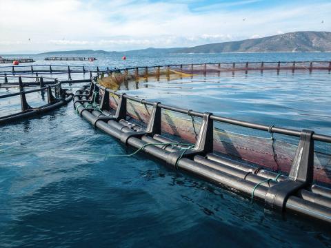 Fish Farm Technician | Lantra - Scotland